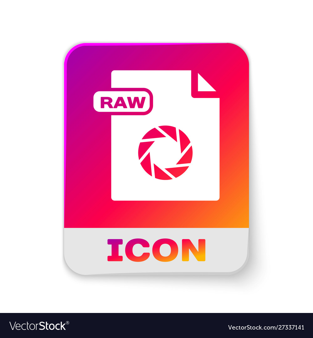 White raw file document download raw button icon Vector Image