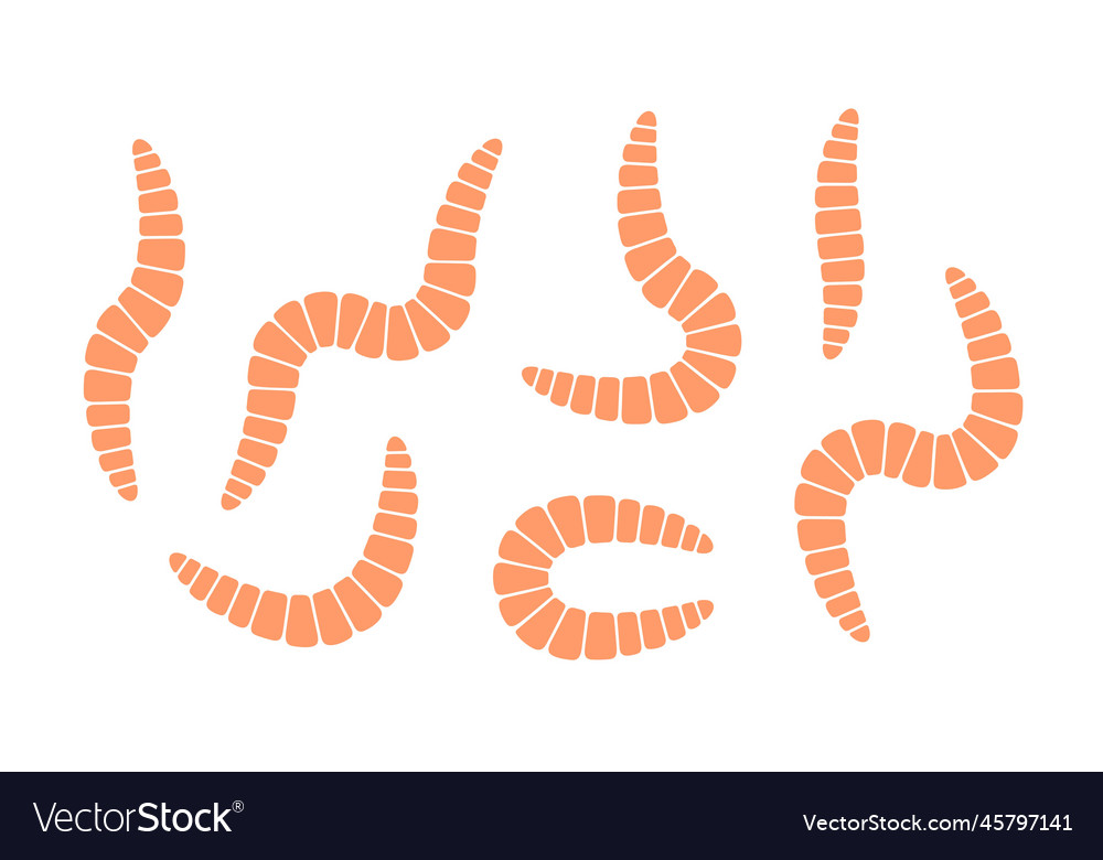 Worm Royalty Free Vector Image - VectorStock