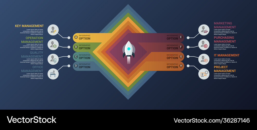 Infographic company management template icons Vector Image