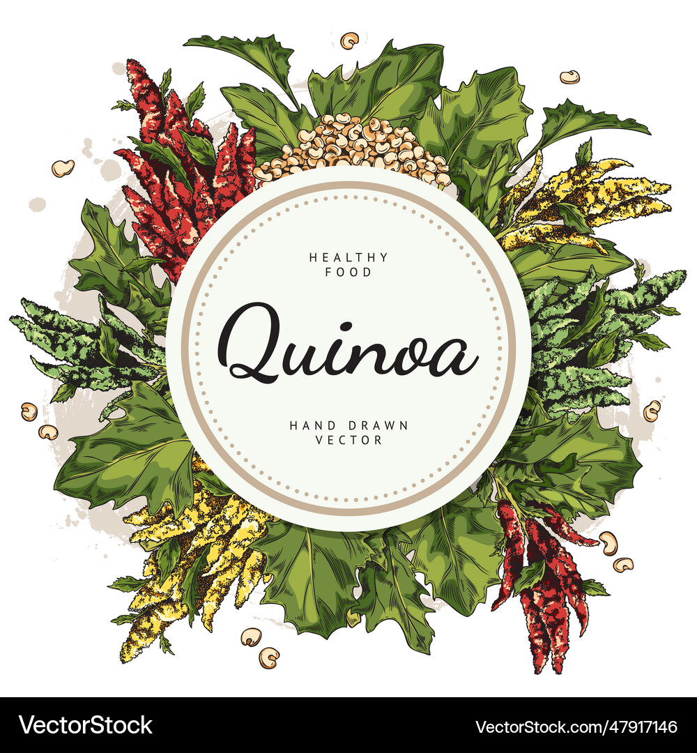 Quinoa plant banner with text in round frame Vector Image