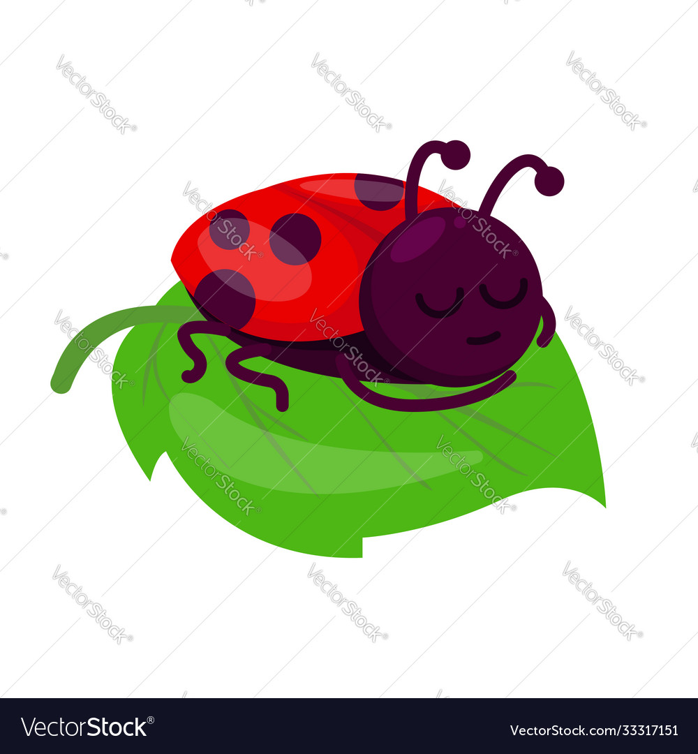 Cute ladybug Royalty Free Vector Image - VectorStock