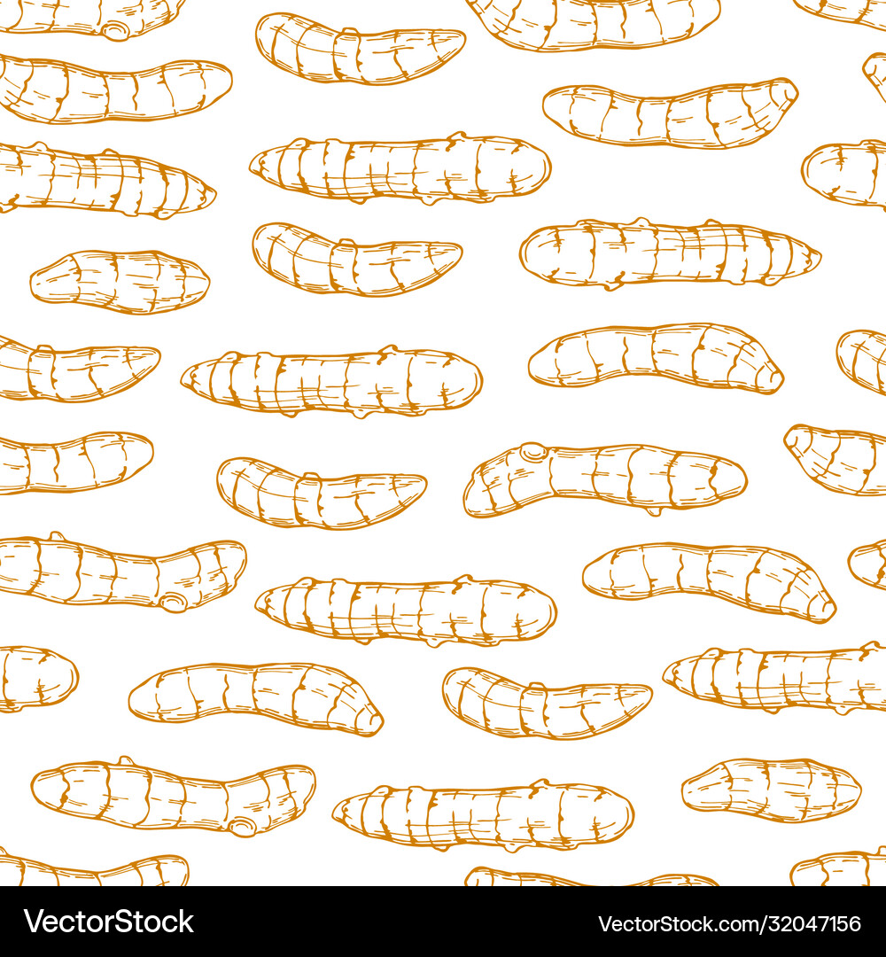 Hand drawn spiceturmeric seamless pattern sketch Vector Image