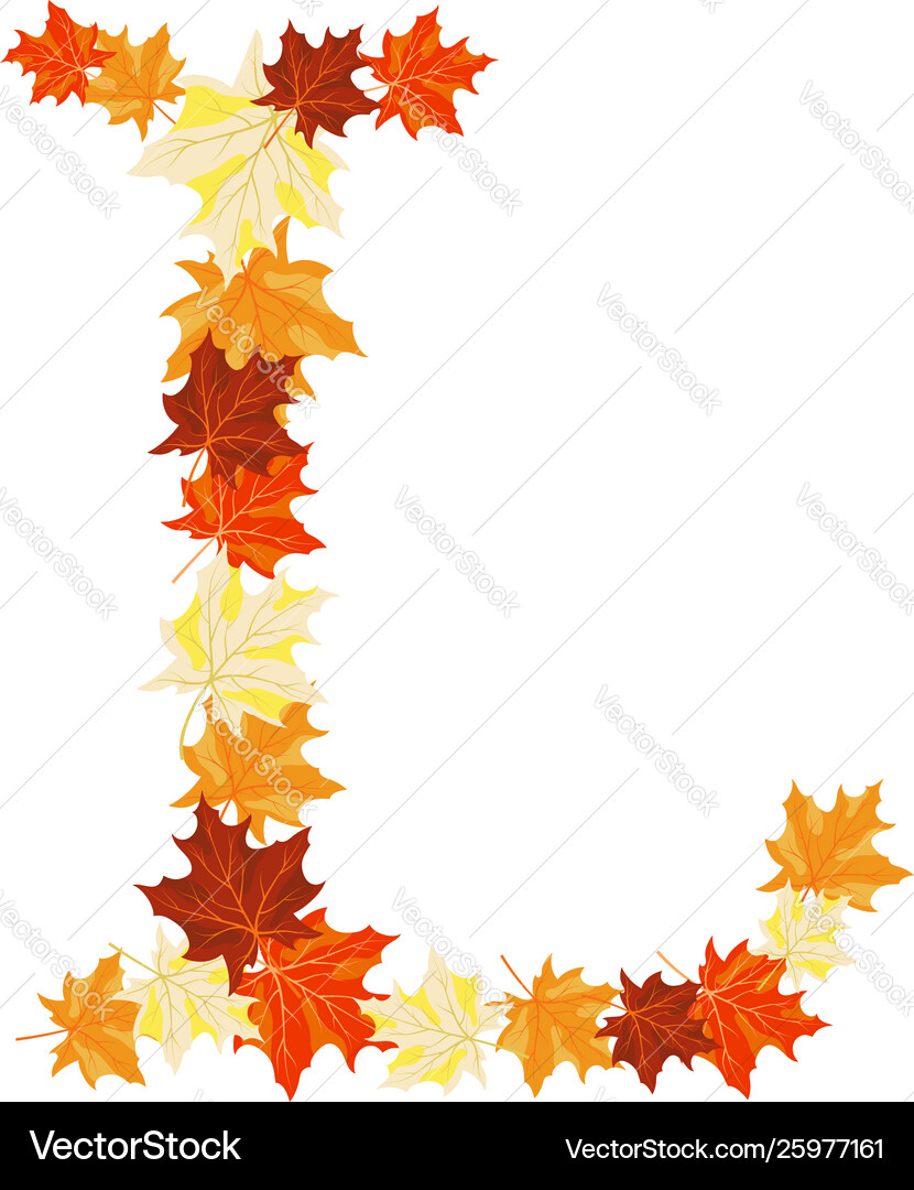 Autumn maples leaves letter Royalty Free Vector Image