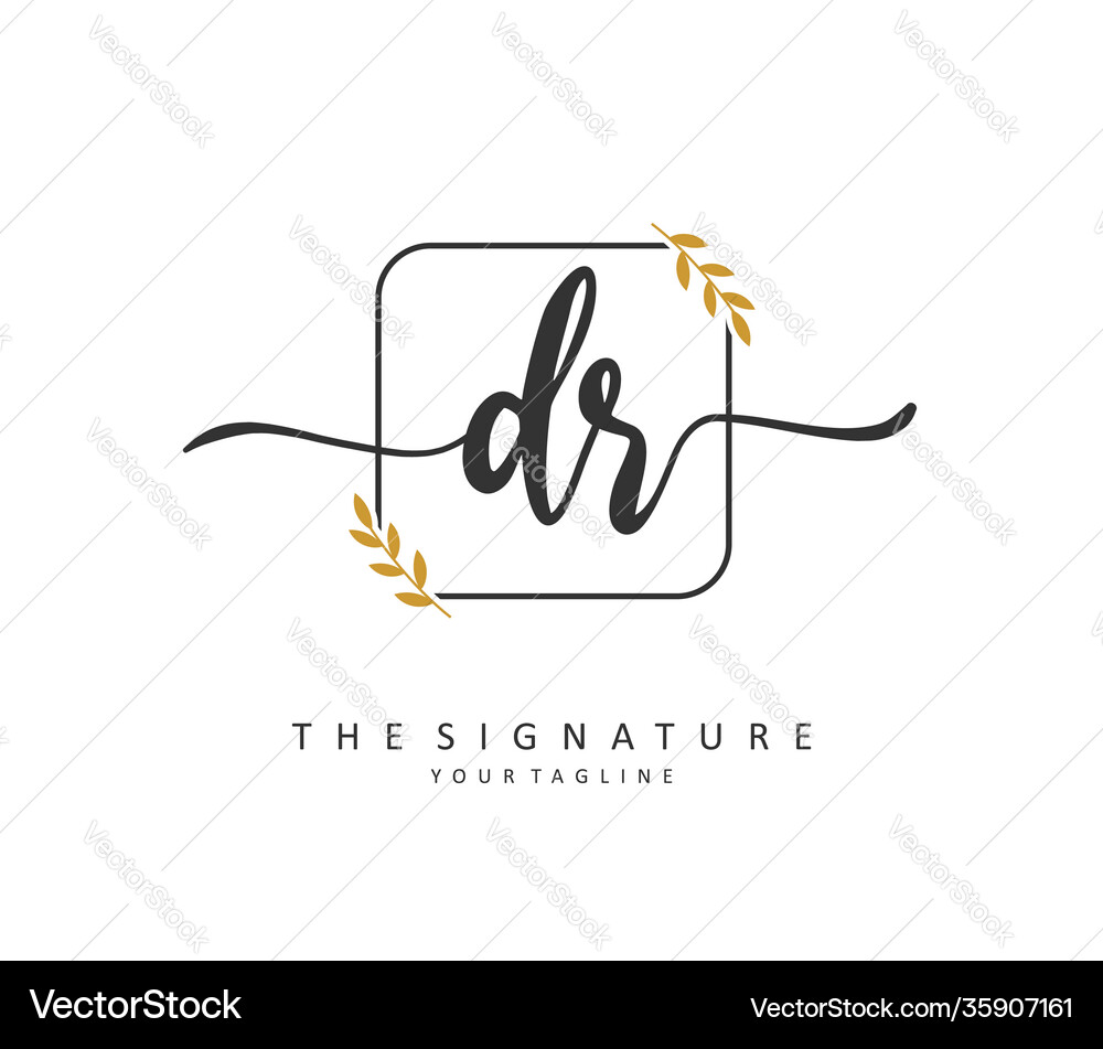 Dr initial letter handwriting and signature logo Vector Image