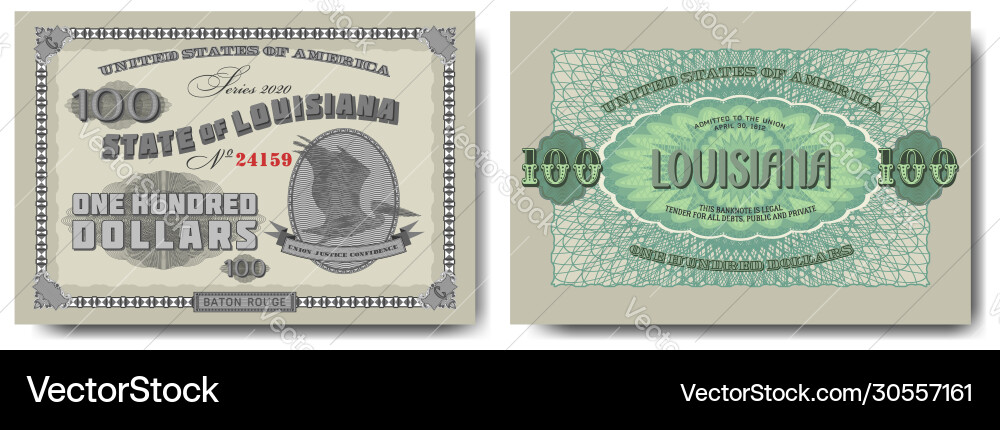 Protective guilloche mesh a fictional us banknote Vector Image