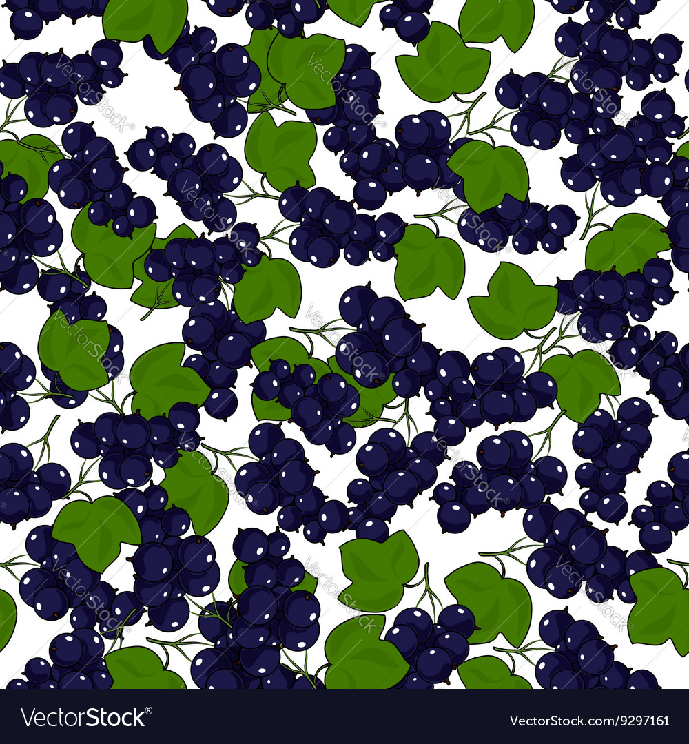 Seamless blackcurrant pattern Royalty Free Vector Image