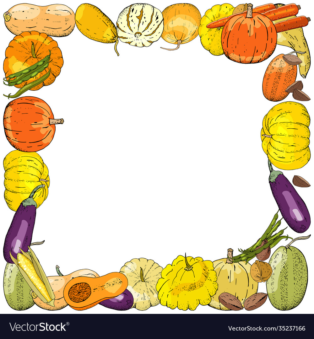 Horizontal square autumn rectangle colored frame Vector Image