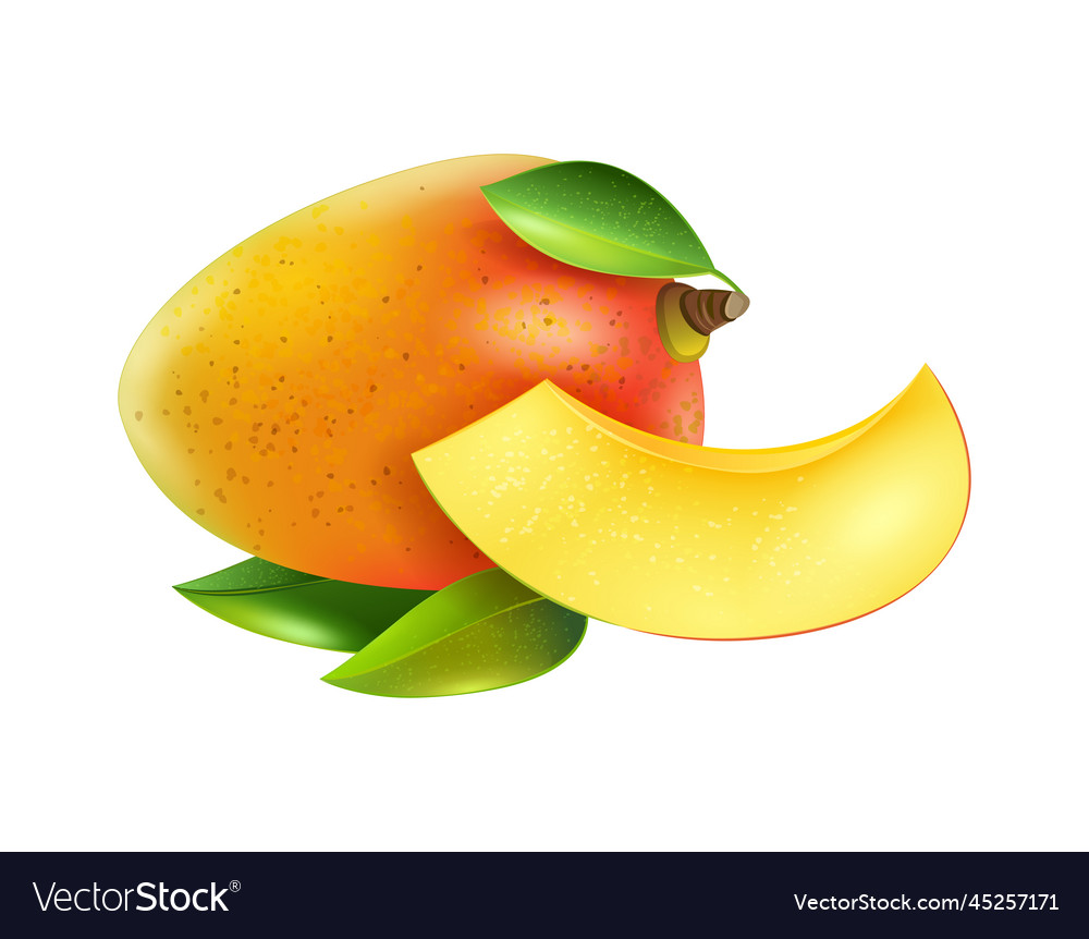 Realistic mango Royalty Free Vector Image - VectorStock