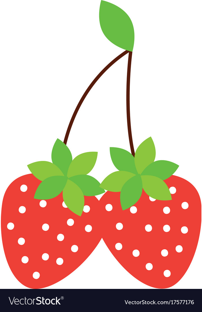 Delicious two strawberry fruit leaves organic Vector Image
