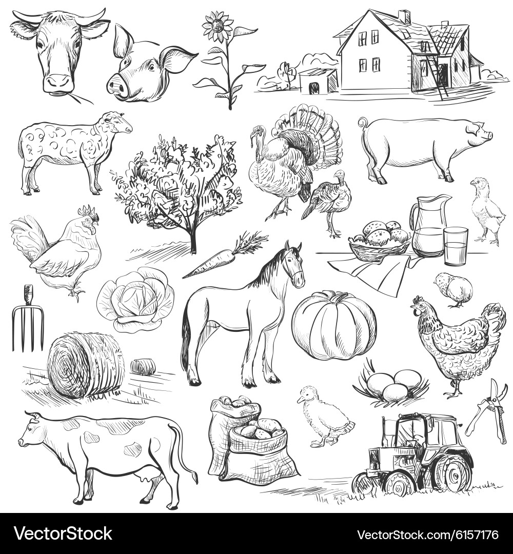 Farm collection - hand drawn set Royalty Free Vector Image