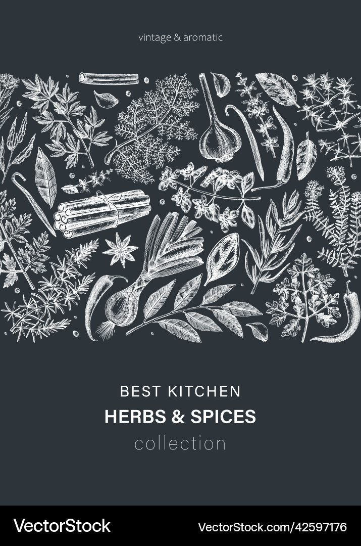 Hand-drawn herbs and spices card on chalkboard Vector Image