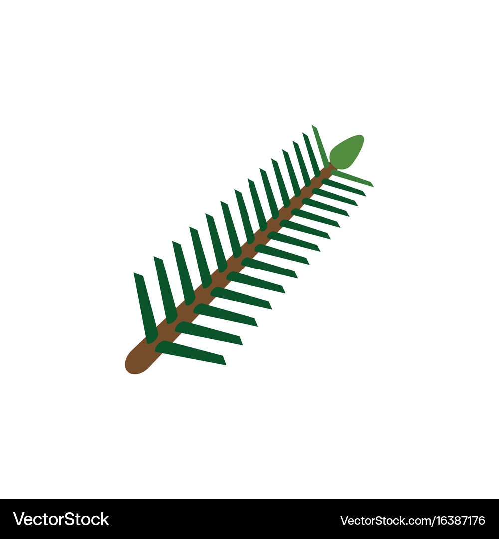 Spruce Leaves