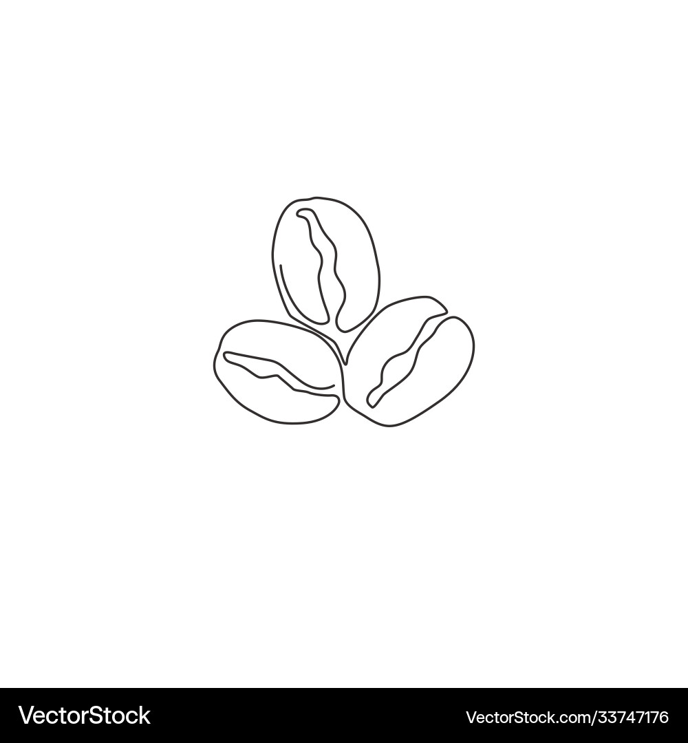 One single line drawing whole healthy organic Vector Image