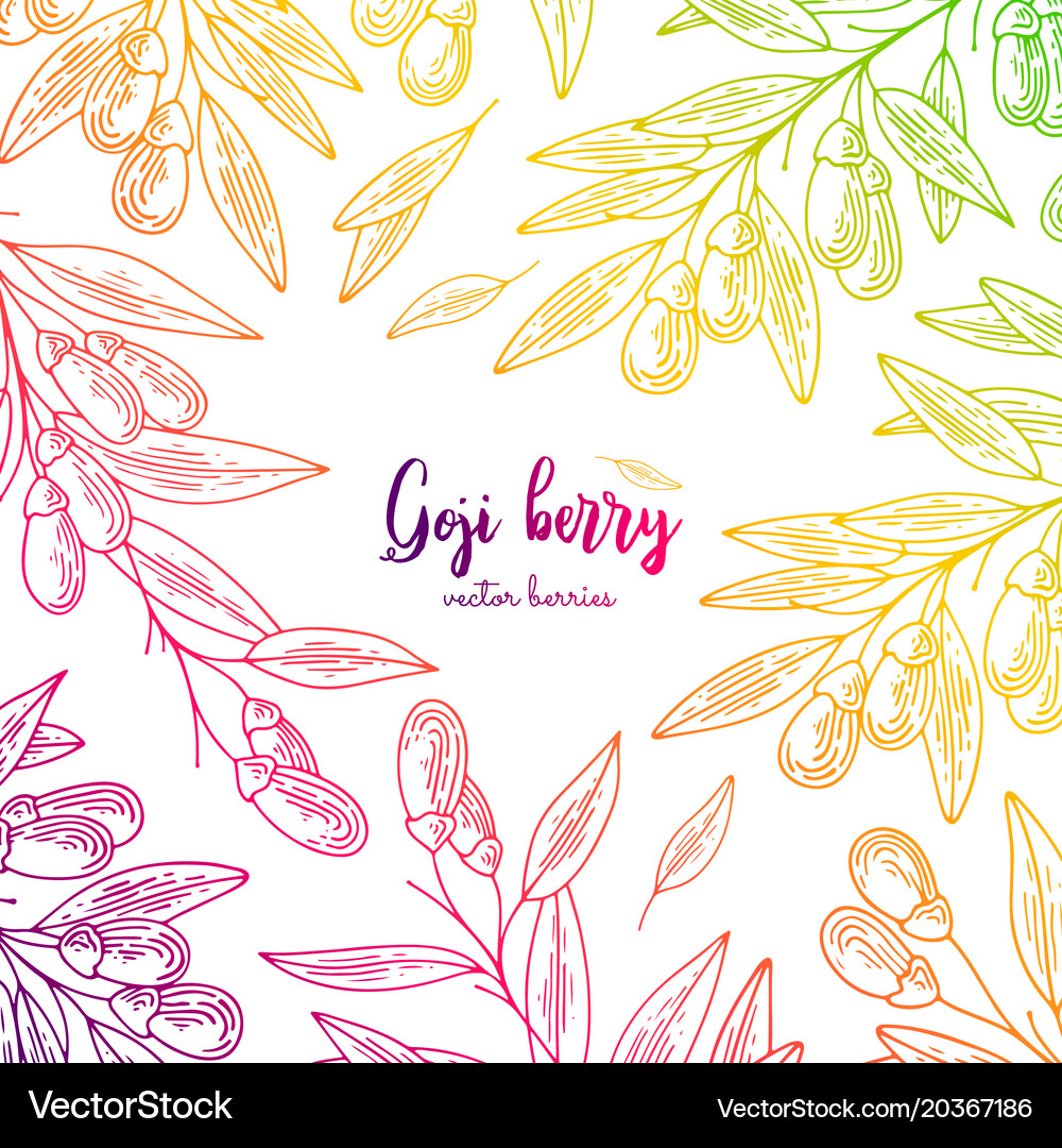 Colorful frame with goji berry healthy Royalty Free Vector