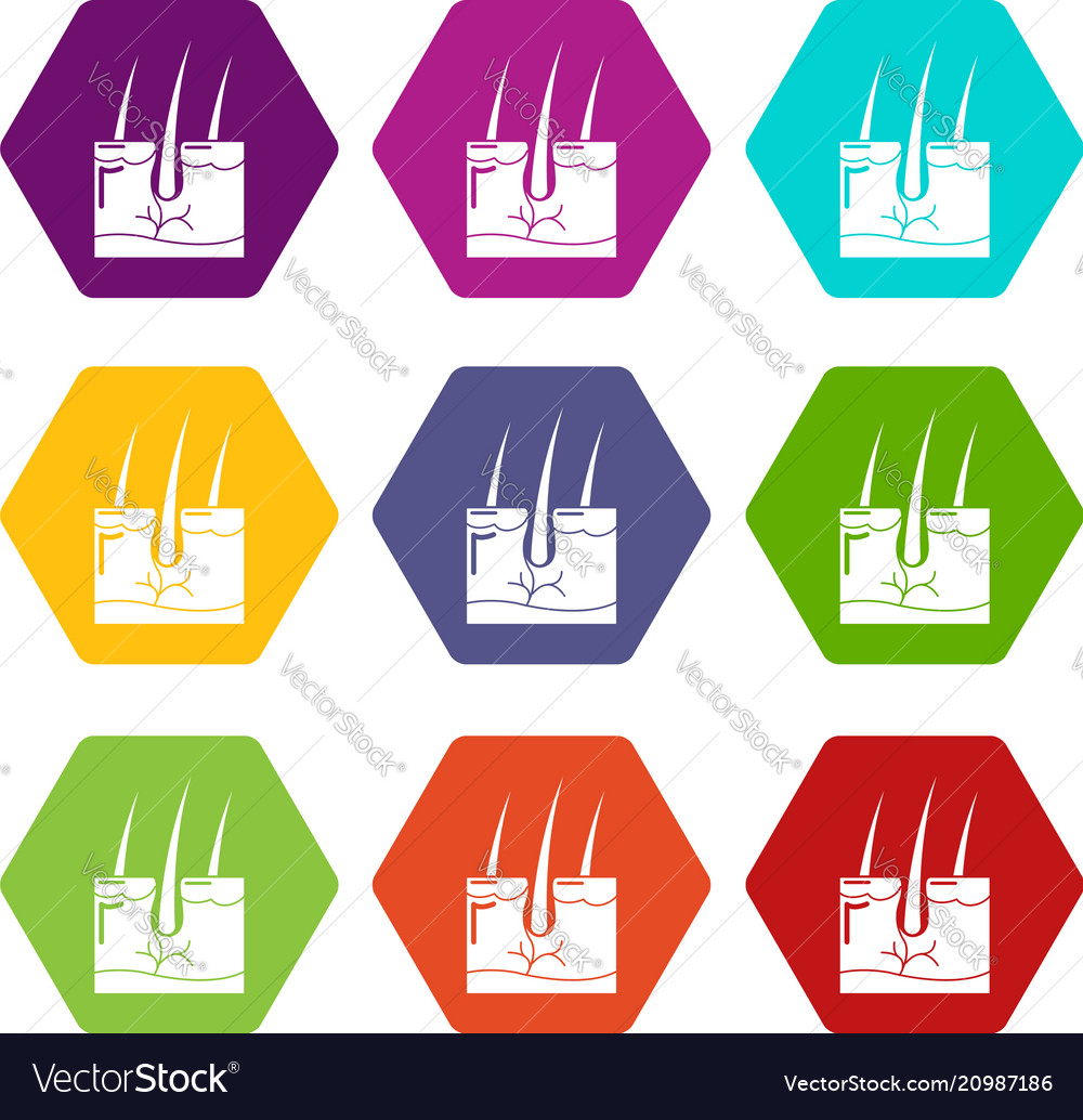 Hair skin icons set 9 Royalty Free Vector Image Hair skin icons set 9 Royalty Free Vector Image