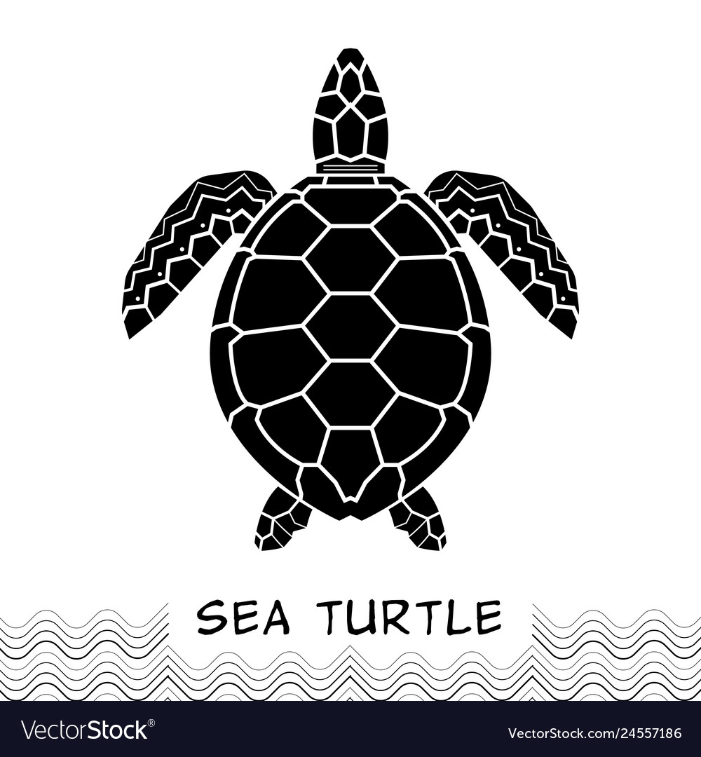 Sea turtle icon Royalty Free Vector Image - VectorStock
