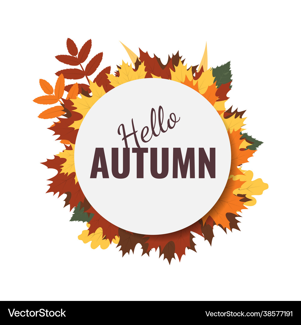 Hello autumn round template with colorful leaves Vector Image
