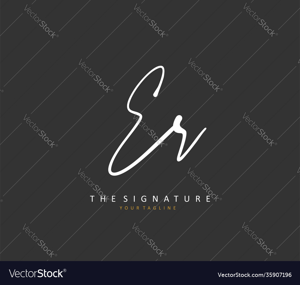 Er initial letter handwriting and signature logo Vector Image