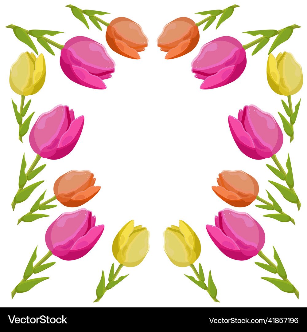 Frame of fresh spring flowers colored tulips Vector Image