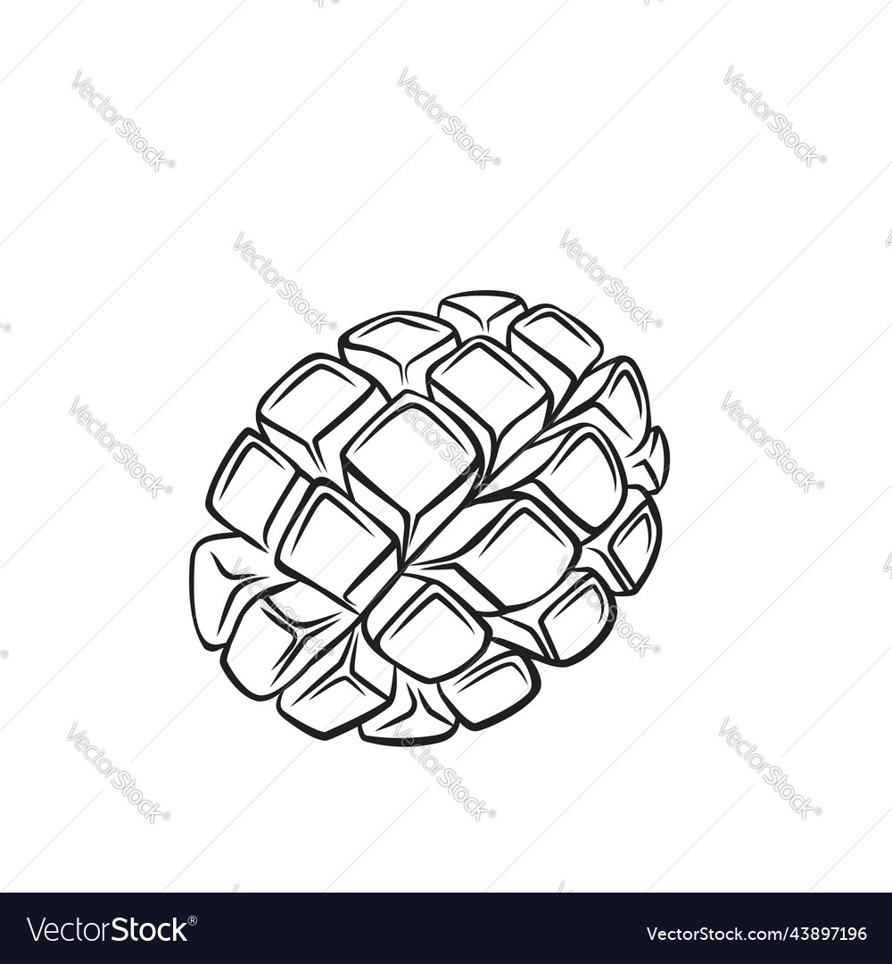 Mango cubes Royalty Free Vector Image - VectorStock