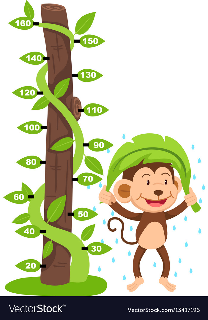 Meter wall with monkey Royalty Free Vector Image