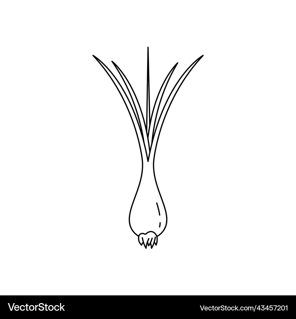 Green onion icon outline black eps 10 Royalty Free Vector