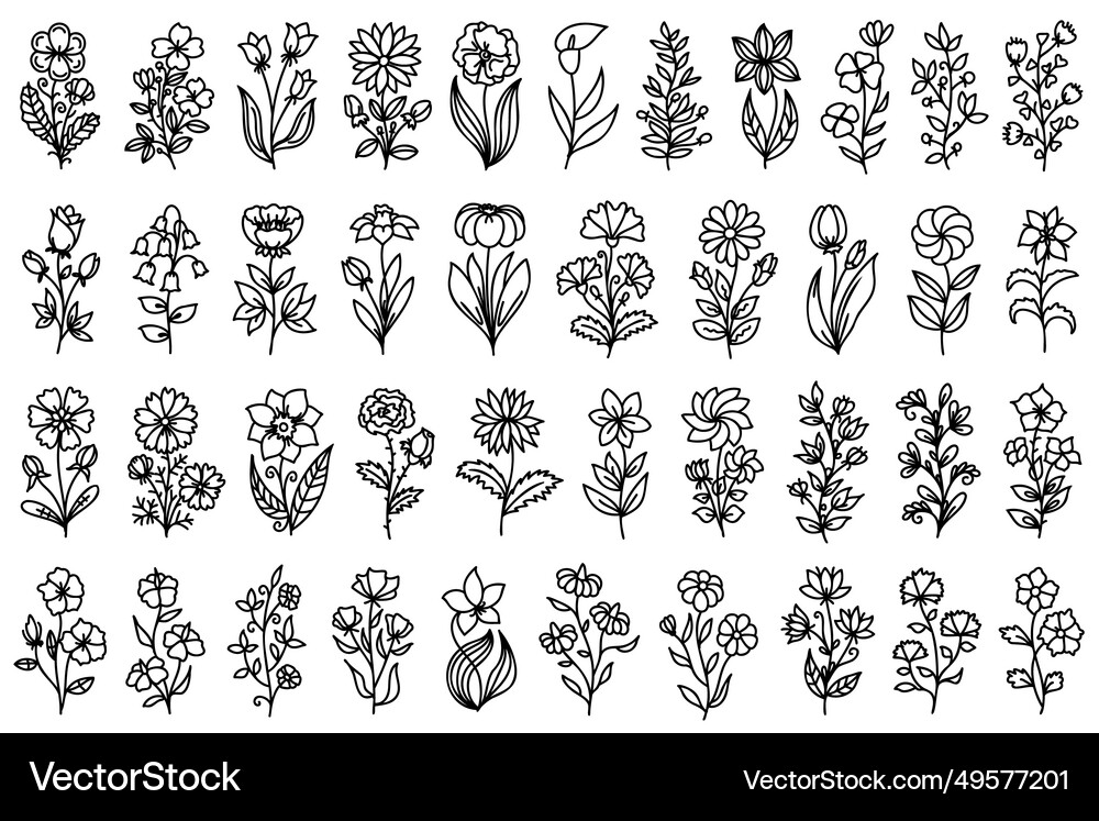 Line art flowers set Royalty Free Vector Image