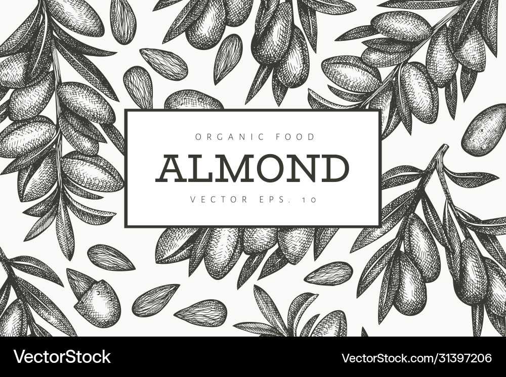 Hand drawn sketch almond design template organic Vector Image