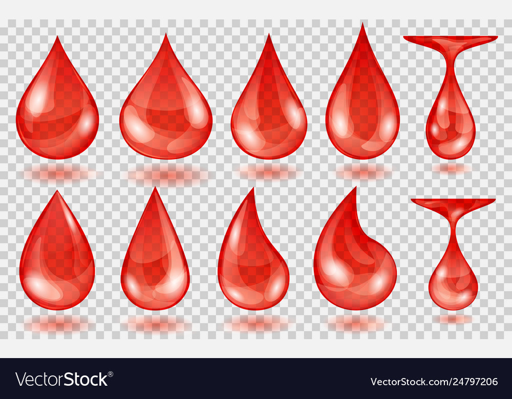 Translucent red water drops Royalty Free Vector Image