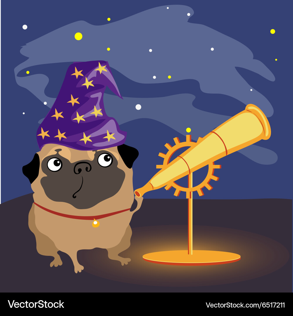 Scientist dog pug watching stars Royalty Free Vector Image