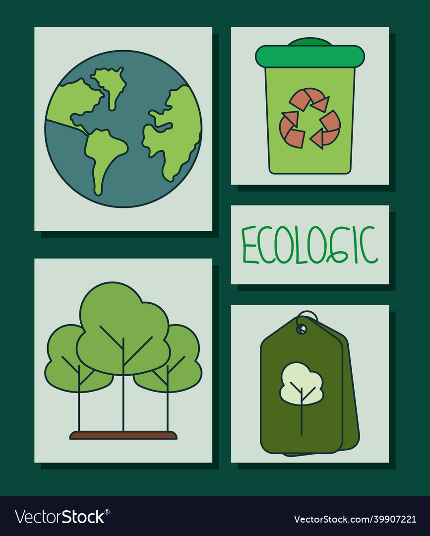 Colorful ecologic design Royalty Free Vector Image