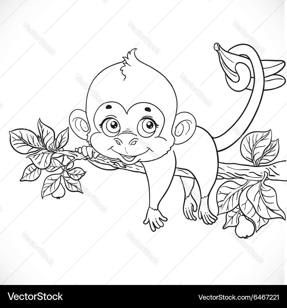 Cute monkey lazily lying on a branch and holds the