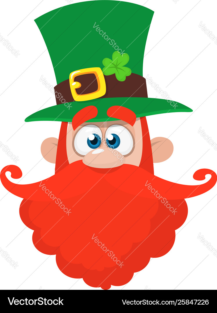 Cartoon leprechaun irish character Royalty Free Vector Image