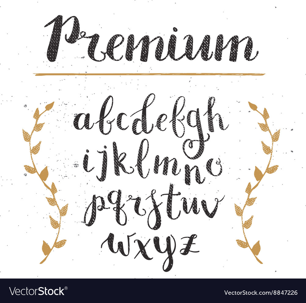Hand drawn script alphabet letters written Vector Image Hand drawn script alphabet letters written Vector Image
