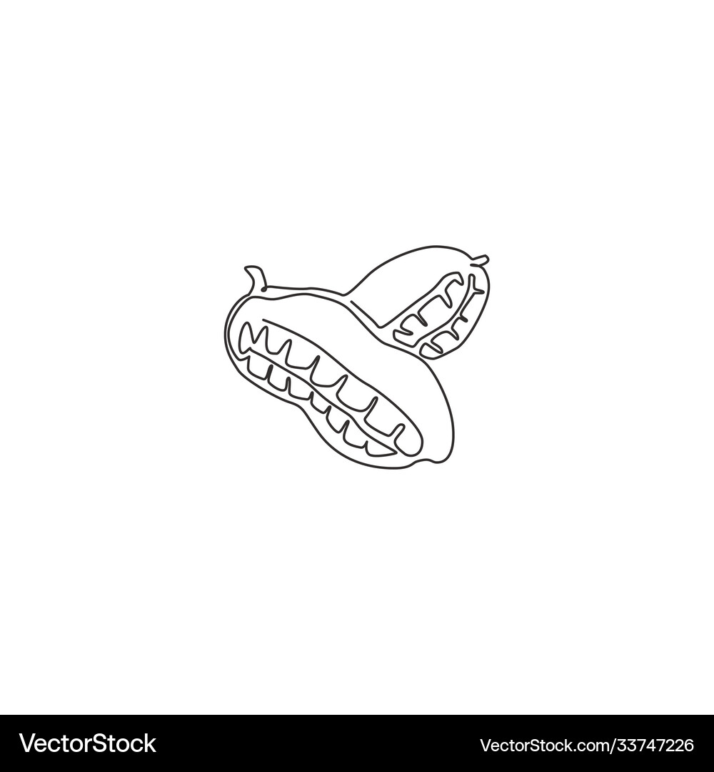 One single line drawing whole healthy organic Vector Image
