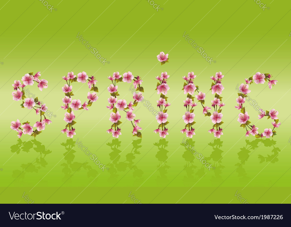 Spring word sakura tree japanese cherry blossom Vector Image