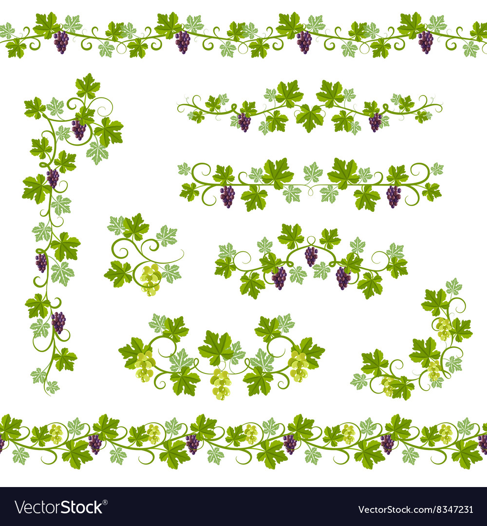Seamless Background Pattern Vine Royalty Free Vector Image