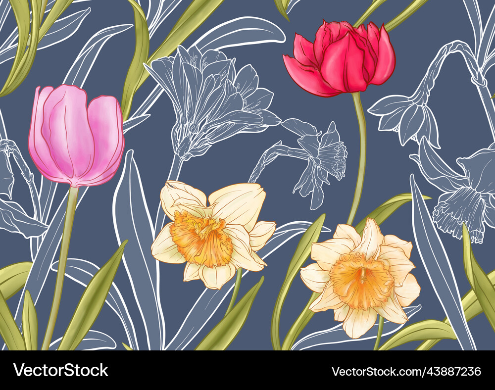Daffodils and tulips flowers the early spring Vector Image