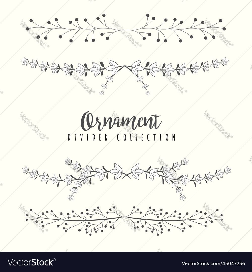 Hand drawn floral divider borders collection Vector Image Hand drawn floral divider borders collection Vector Image