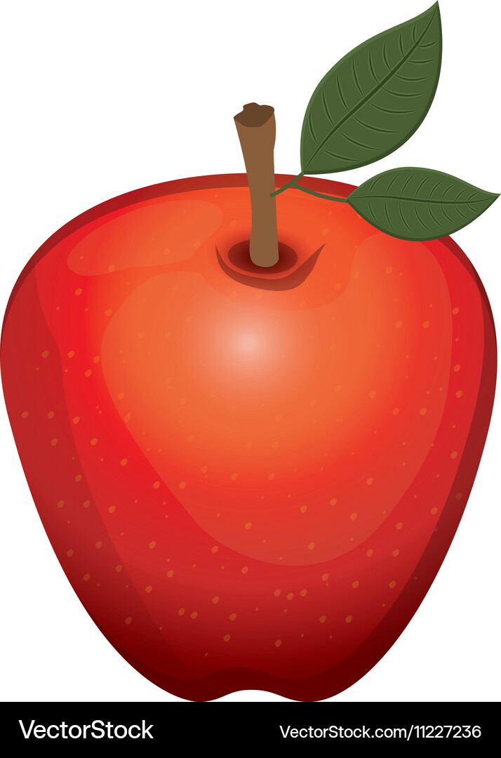 Red apple fruit Royalty Free Vector Image - VectorStock