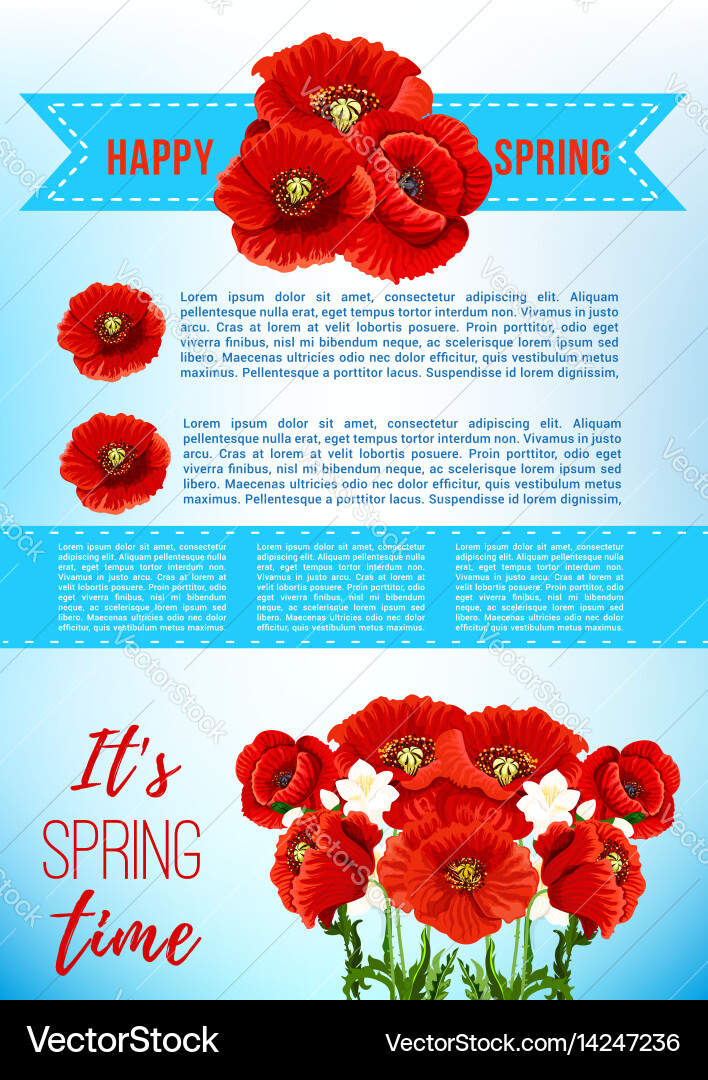 Spring holiday poster with poppy flowers Vector Image