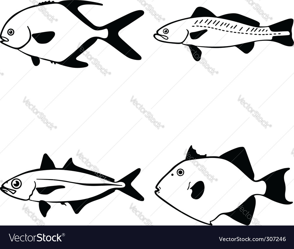 Fish Royalty Free Vector Image - VectorStock