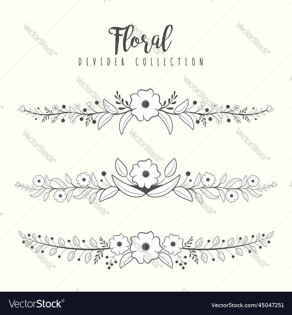 Hand drawn floral divider borders collection Vector Image Hand drawn floral divider borders collection Vector Image