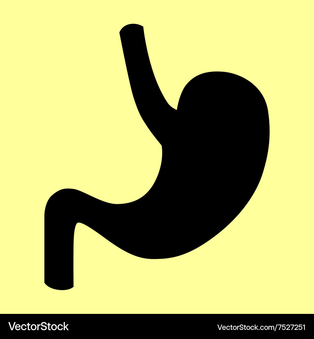 Human anatomy stomach sign Royalty Free Vector Image