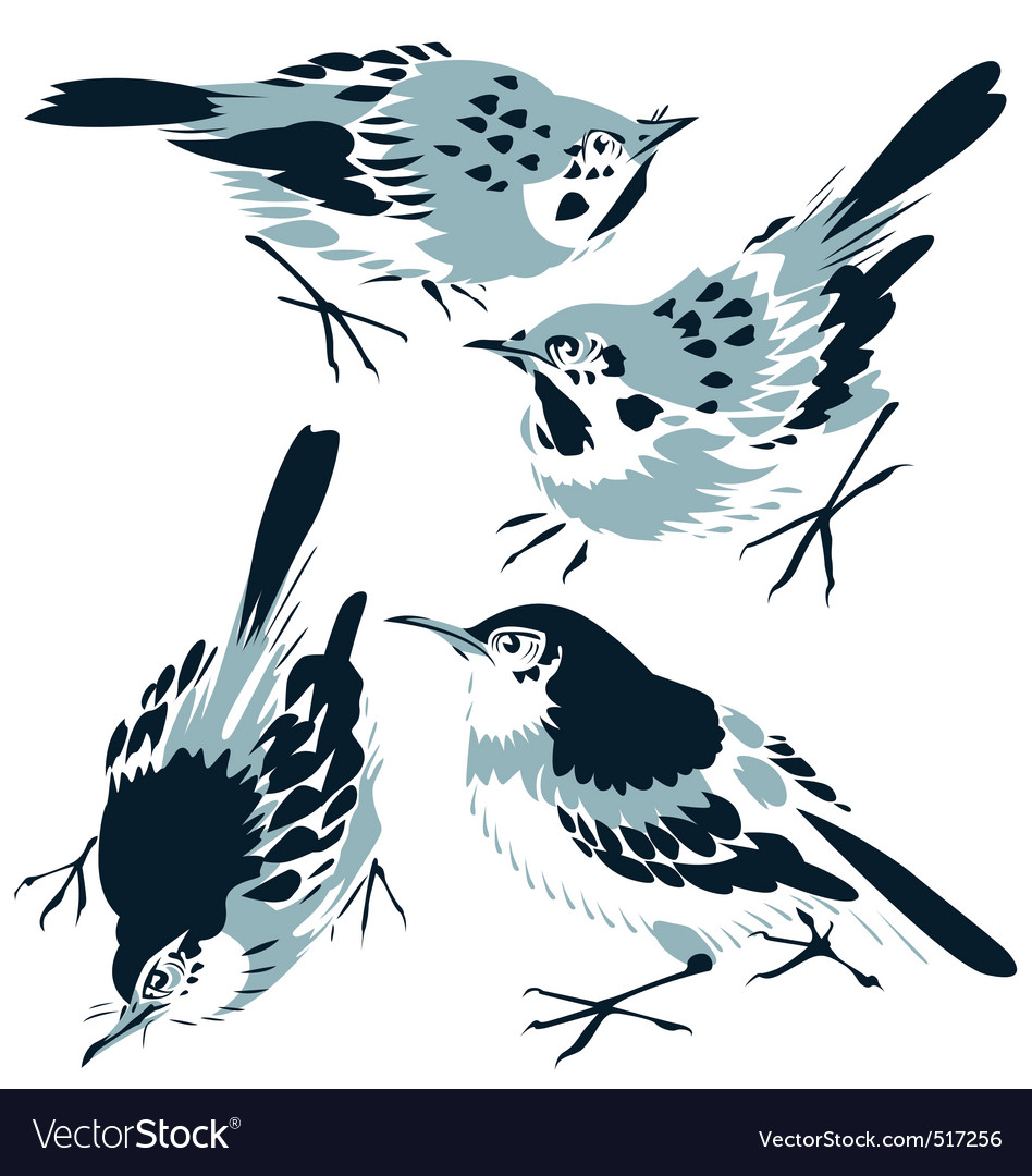 Bird Royalty Free Vector Image - VectorStock