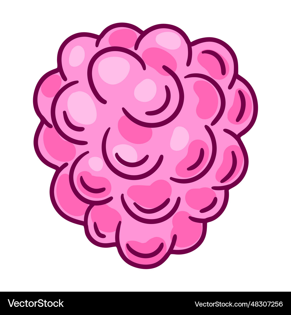 Sweet jelly candy image for confectionery Vector Image