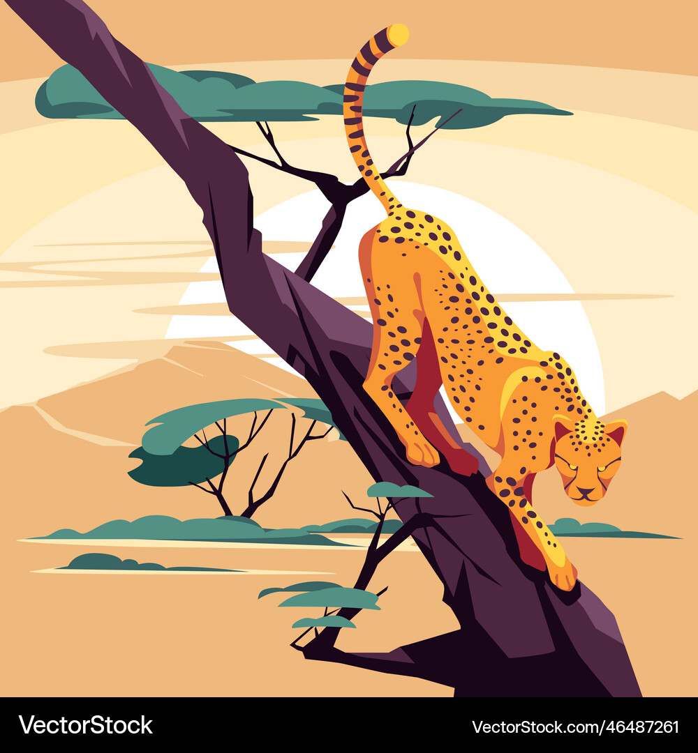 A cheetah on tree in savannah landscape wild Vector Image