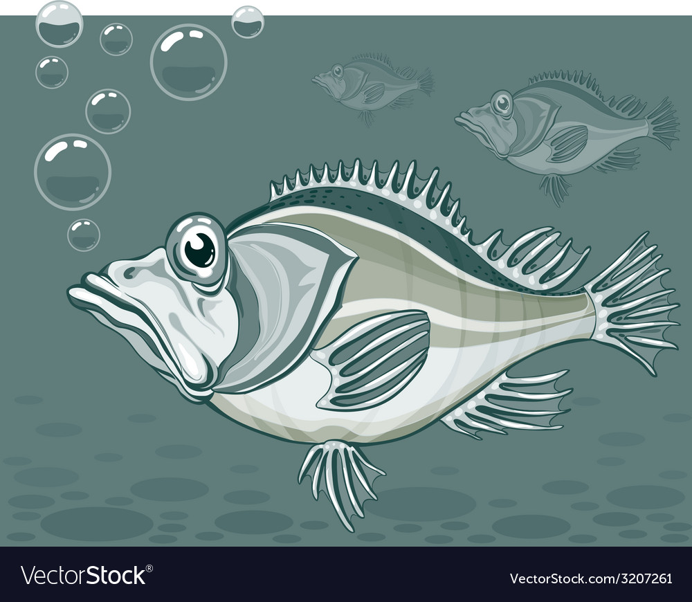 Fish Royalty Free Vector Image - VectorStock
