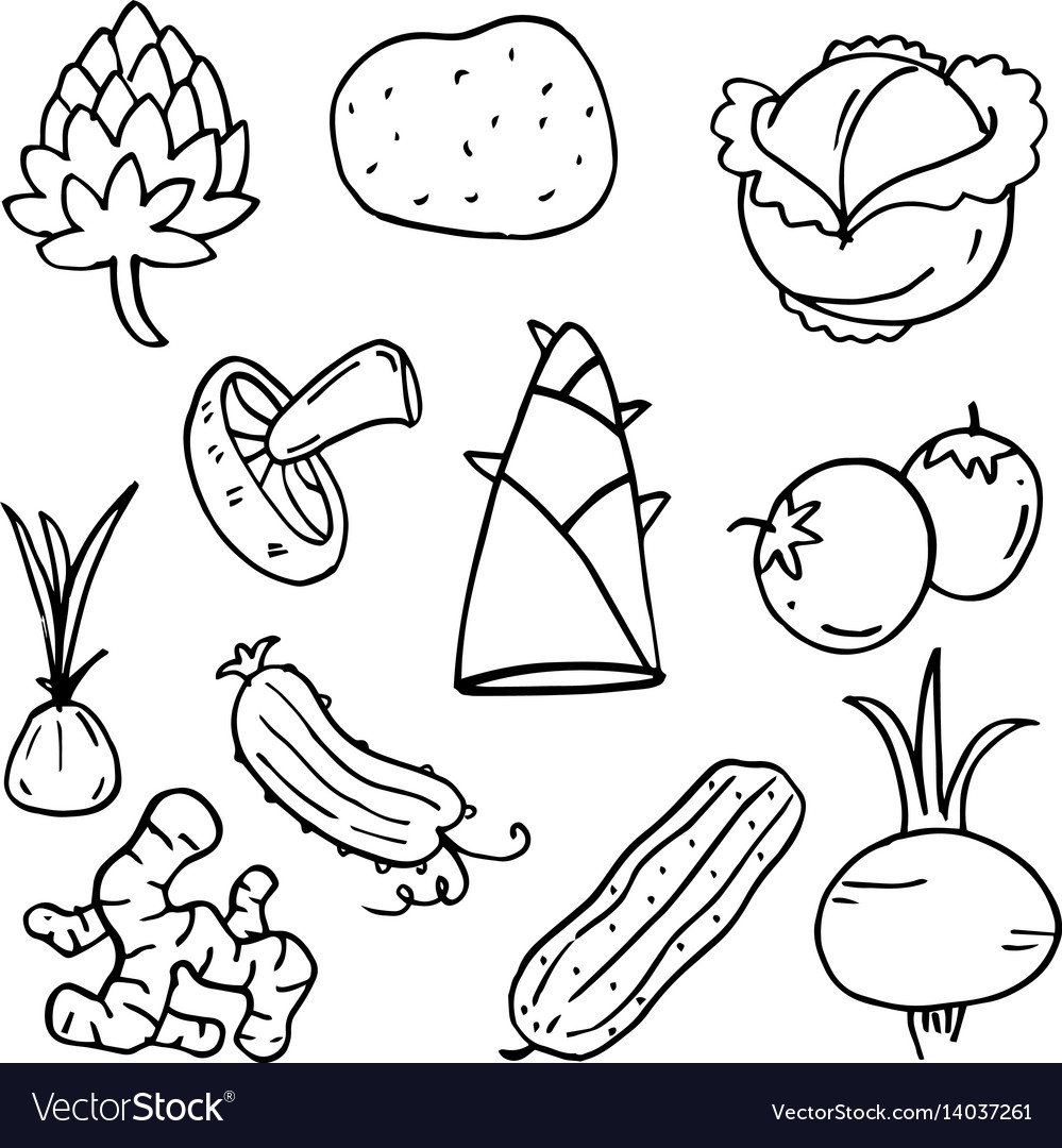Food set vegetable of doodles Royalty Free Vector Image