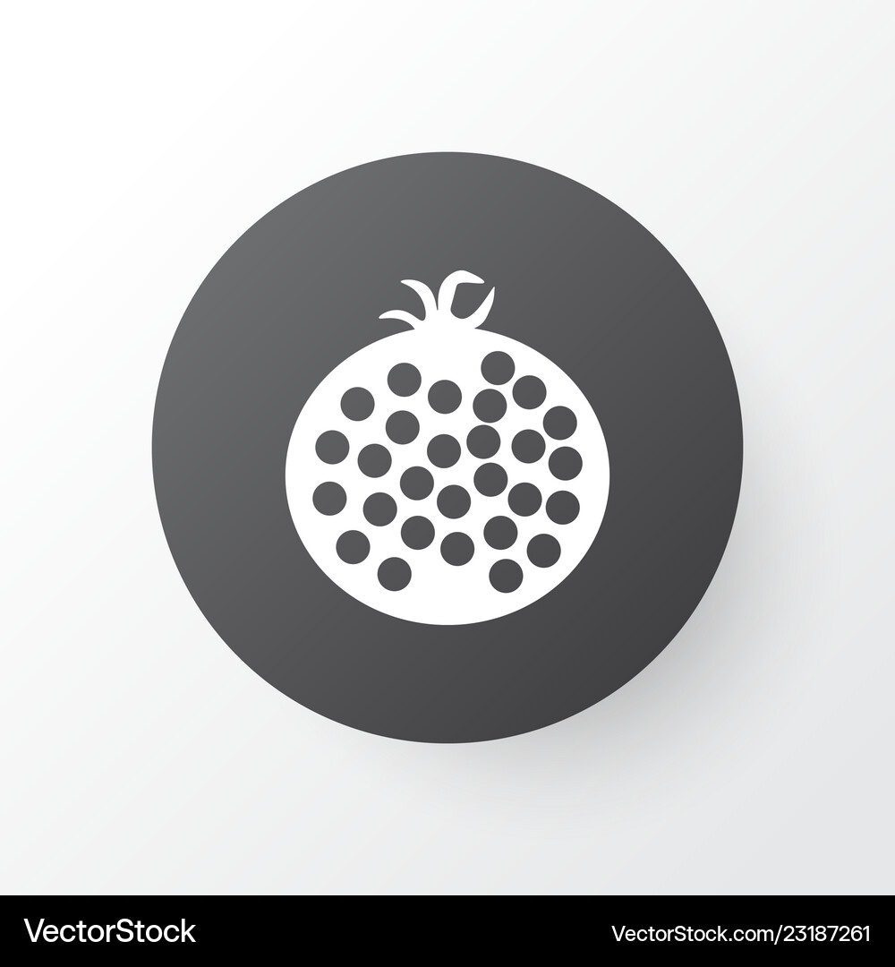 Garnet icon symbol premium quality isolated Vector Image
